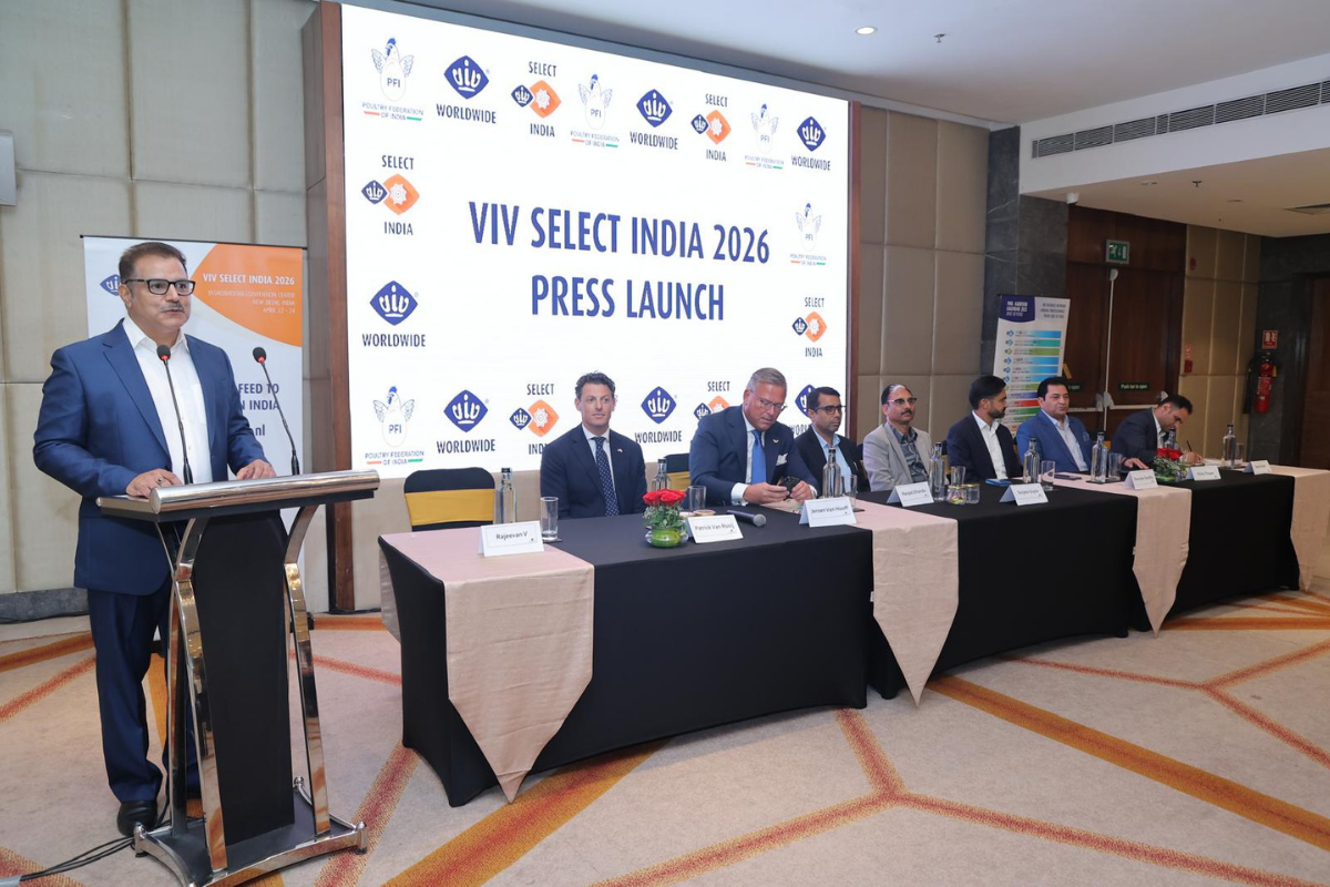 VIV Select India 2026 - IMEX Management